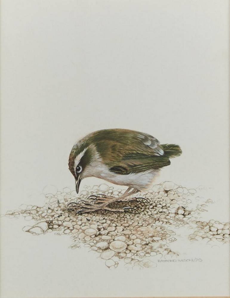 Raymond Wilson. Working c1979 New Zealand - Works in Past Sales