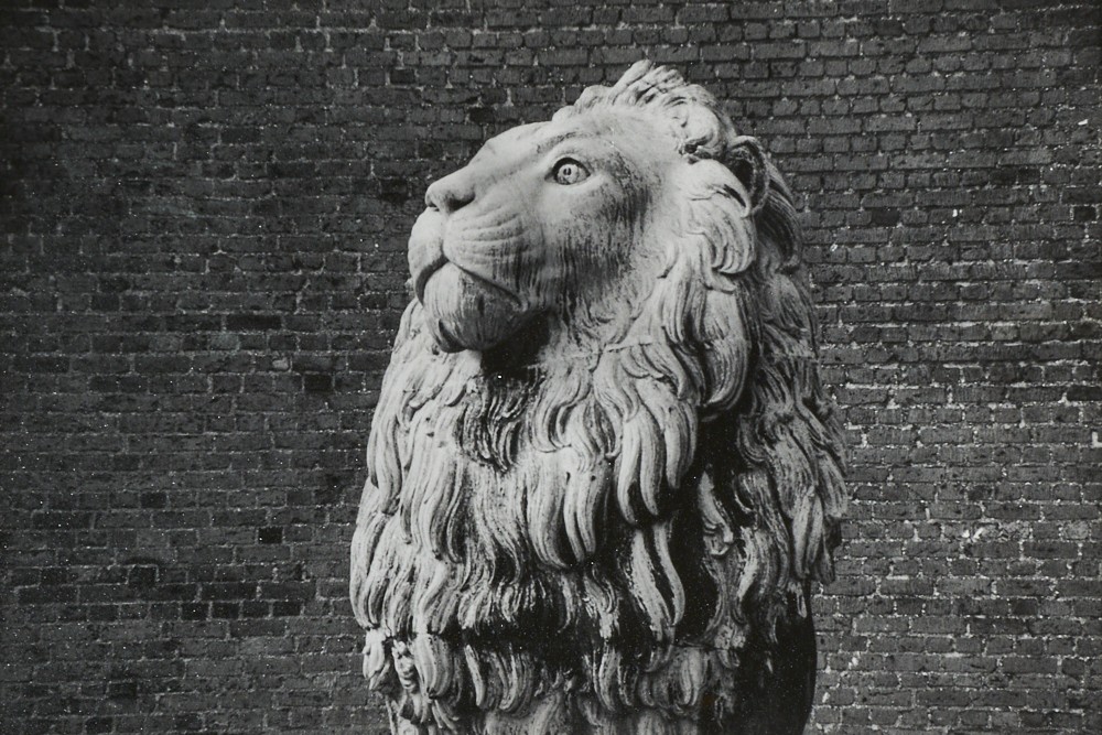 Peter Peryer. 1941-2018 New Zealand - Works in Past Sales