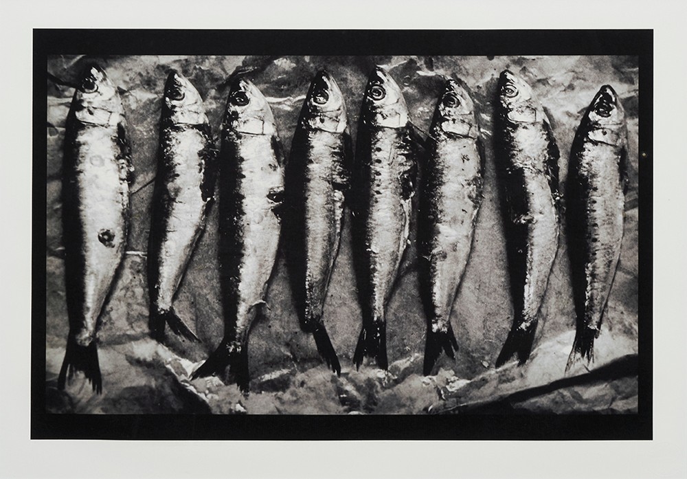 Michael Riley. 1960-2004 Australia (Aboriginal) - Works in Past Sales