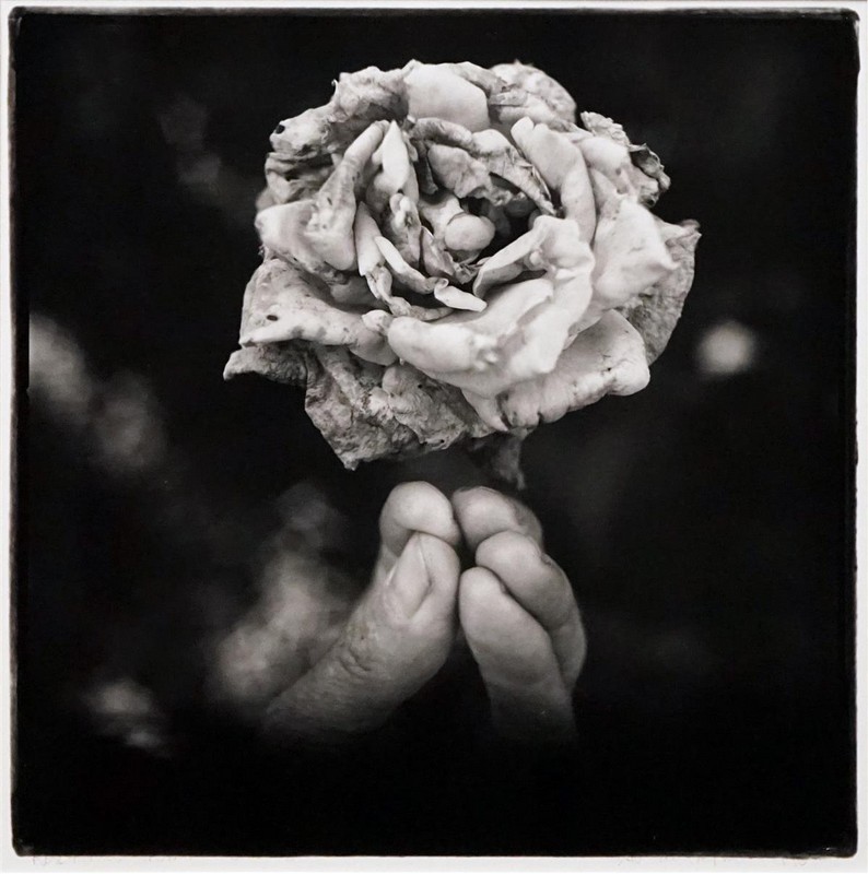 Paul Ferman. 1948-2024 Germany, Australia - Works in Past Sales