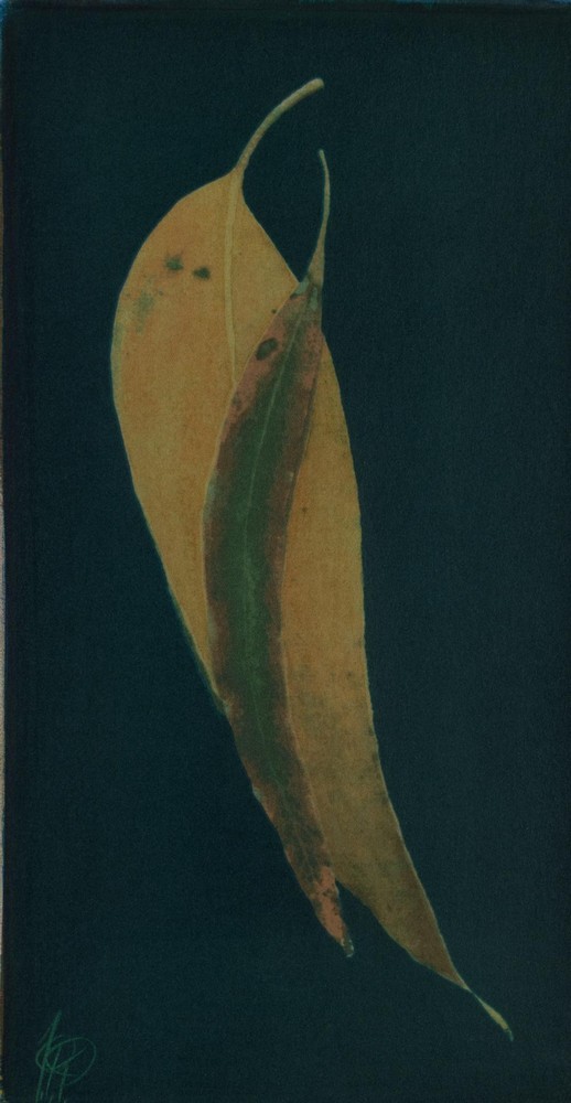 Numbers by medium - John P. Pollard. Australia