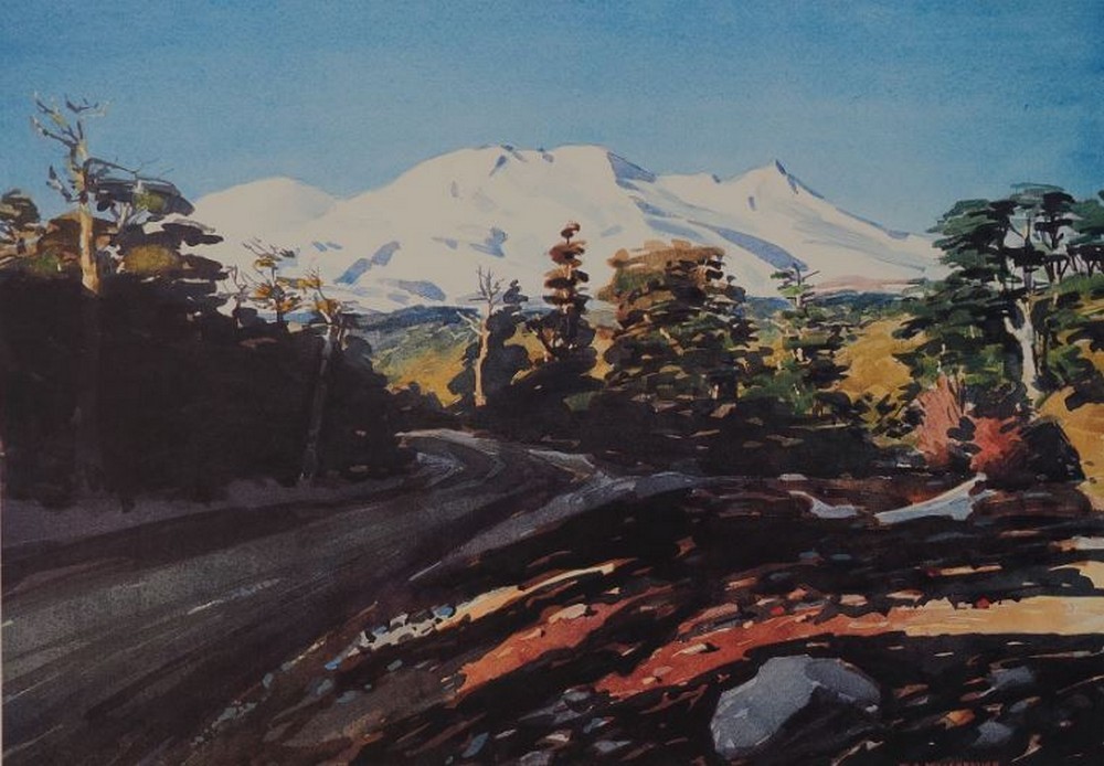 W. A. (Bill) MacCormick. 1942-. New Zealand - Works in Past Sales