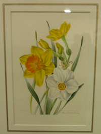 Anne Ophelia Dowden. 1907-2007 - Works in Past Sales