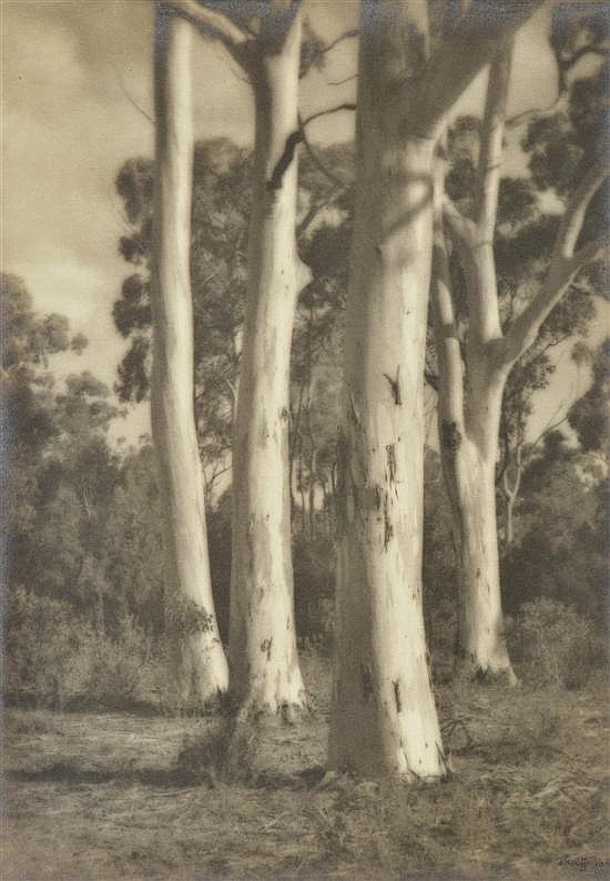 John Kauffmann. 1864-1942 Australia - Works in Past Sales