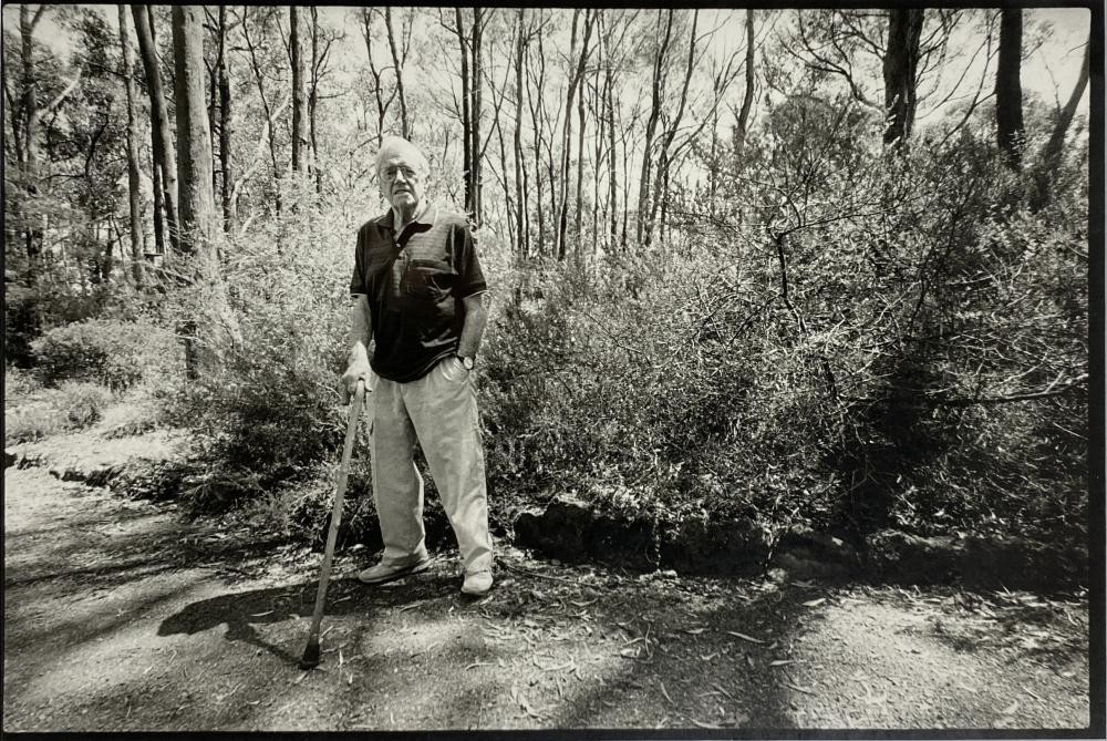 Tim Webster. 1965-. Australia - Works in Past Sales