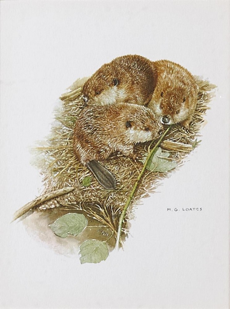 M. G. Loates. - Works in Past Sales