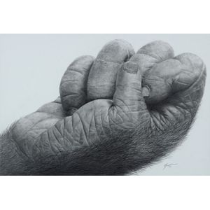 Terry Jackson. 1958-. Australia - Prices of Art at Auction