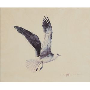 Bruce Harvey. 1931-. New Zealand - Prices of Art at Auction