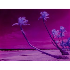 Mitchell Burns. Australia - Prices of Art at Auction