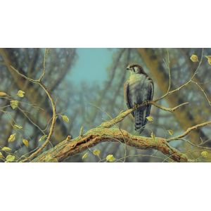 Christopher Pope. 1970-. Australia - Works in Past Sales