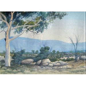 Tjyllyungoo (Lance Chadd). 1954-. Australia (Aboriginal) - Works in ...