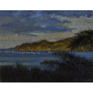 Ruth Cole. 1961-. New Zealand - Prices of Art at Auction