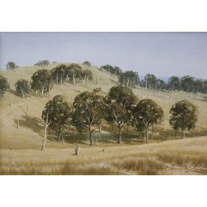 Numbers by medium - Ramon Ward-Thompson. 1941-. Australia