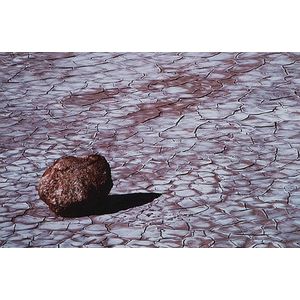 Roel Loopers. Working c1990 Australia - Prices of Art at Auction