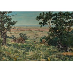 John Yule. 1923-98 Australia - Prices of Art at Auction