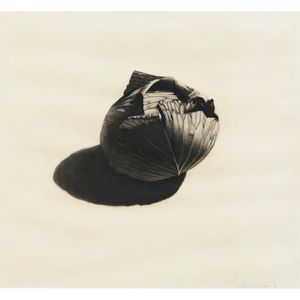 William Delafield Cook, Junior. 1936-2015 Australia - Prices of Art at ...