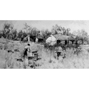 Clara Southern. 1860-1940 Australia - Prices of Art at Auction