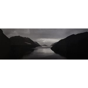 Robin Forster. 1960-. - Works in Past Sales