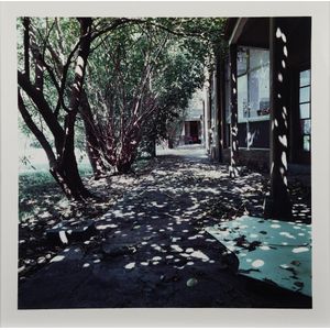 Anne Ferran. 1949-. Australia - Prices of Art at Auction