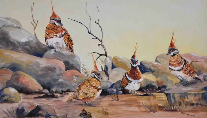 Bronwyn Beasley. - Works in Past Sales