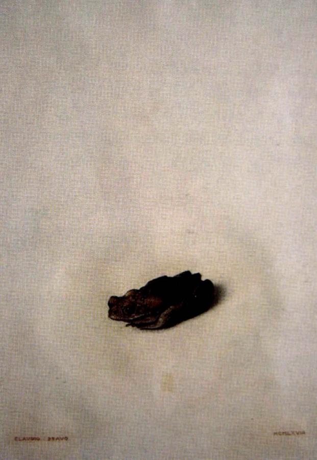 Claudio Bravo. 1936-. - Works in Past Sales Claudio Bravo. 1936-. - Works in Past Sales