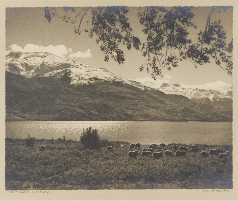 George Chance. 1885-1963 New Zealand - Works in Past Sales