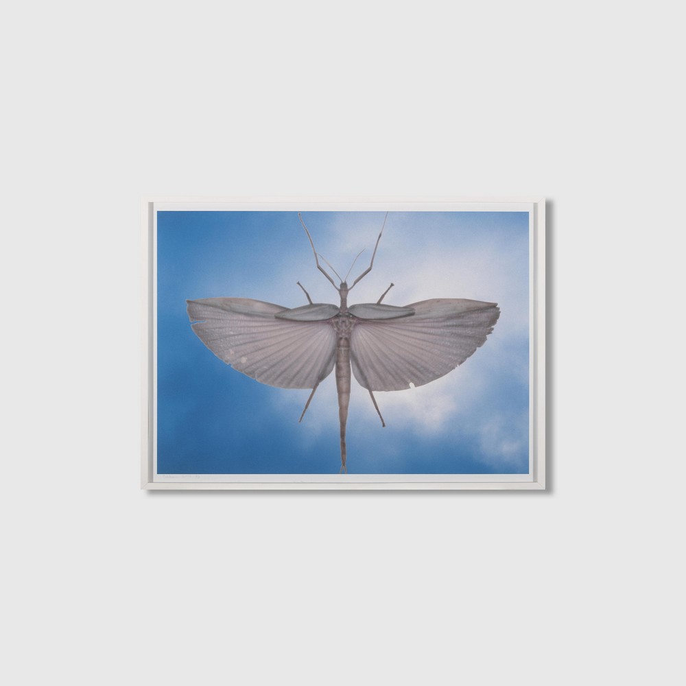 Michael Riley. 1960-2004 Australia (Aboriginal) - Works in Past Sales