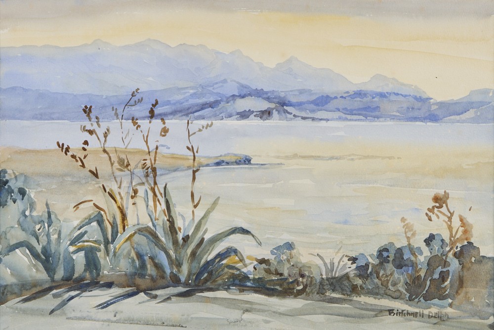 Birchnell Delph. 1901-96 New Zealand - Works in Past Sales