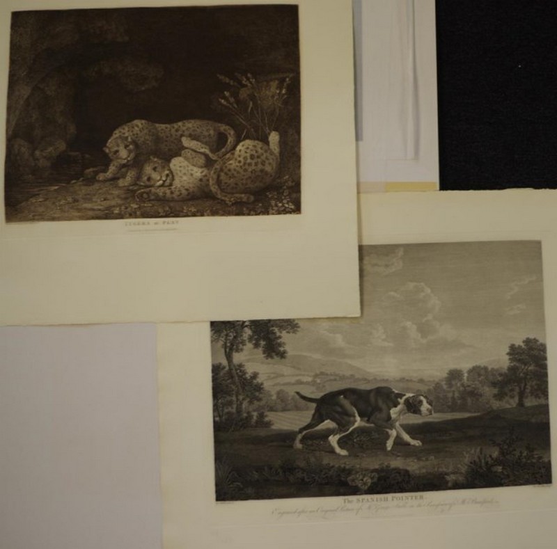 George Stubbs. 1724-1806 - Works in Past Sales