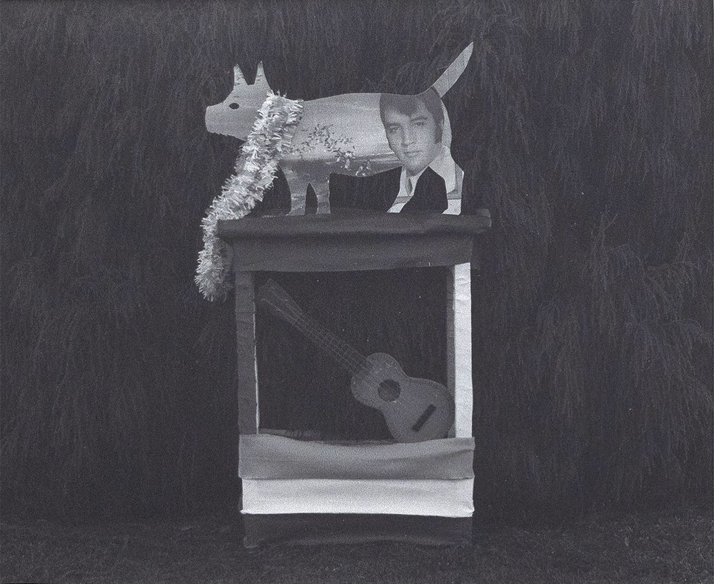 Kathryn McCool. New Zealand - Works in Past Sales