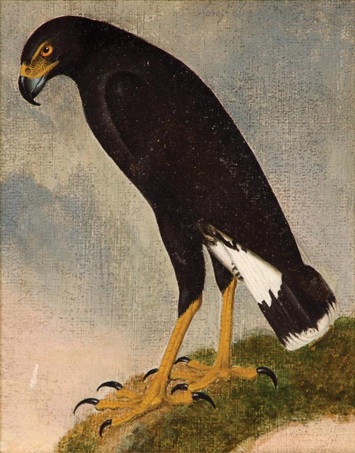 Peter Paillou. c1745-1806 - Works in Past Sales