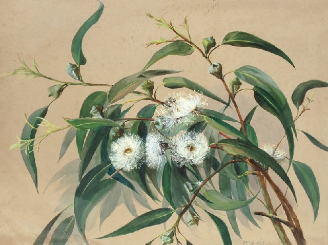 G. Hofer. - Works in Past Sales