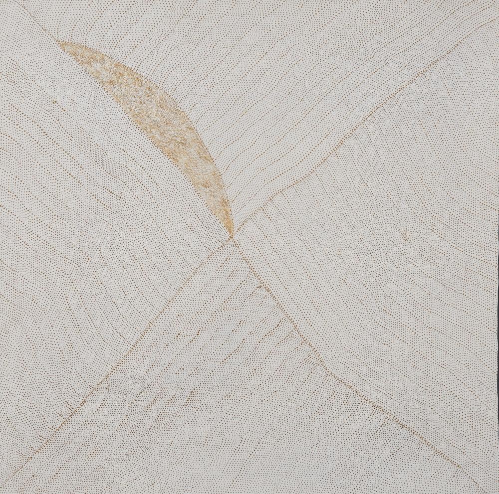 Shapiro Auctioneers, Photography, Indigenous and Contemporary Art from ...
