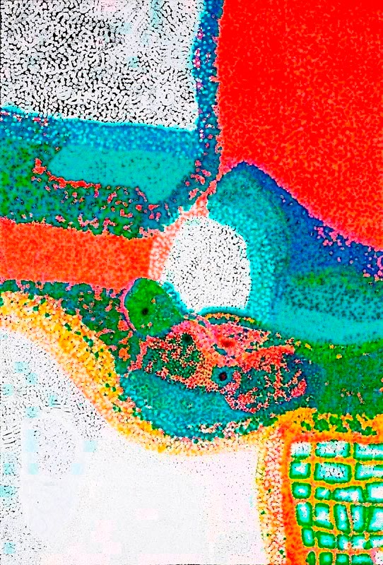 Daniel Walbidi. 1982-. Australia (Aboriginal) - Works in Past Sales