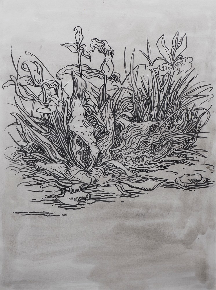 Andrew Taylor. 1967-. Australia - Works in Past Sales