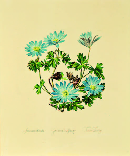 Kevin Nicolay. 1966-99 - Works in Past Sales