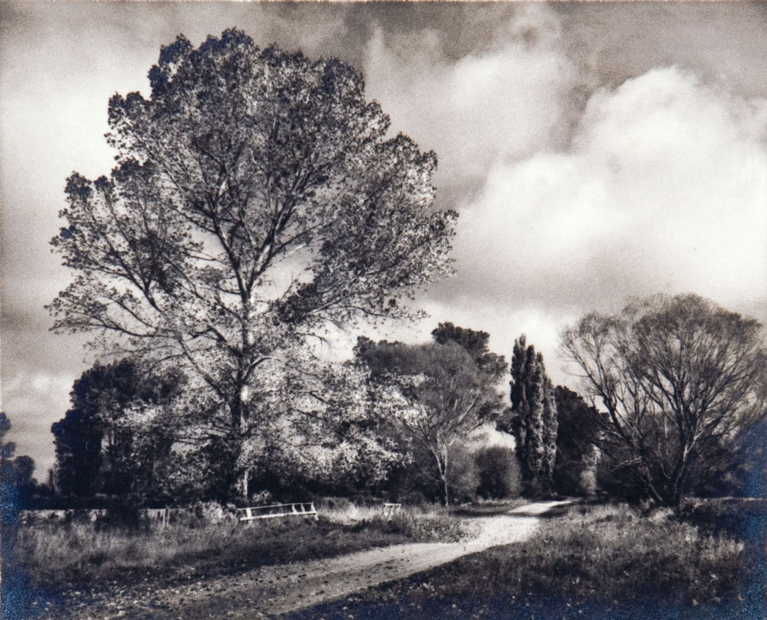 Photography Associations Free Membership - Join For Free