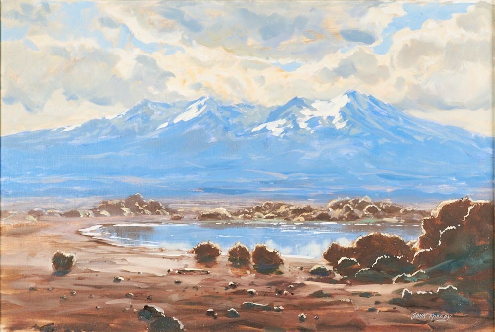 John Speedy. 1940-. New Zealand - Works in Past Sales