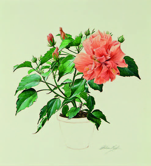 Graham Rust. 1942-. - Works in Past Sales