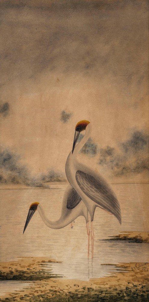 Herbert Hepburn Calvert. 1870-1923 Australia - Works in Past Sales