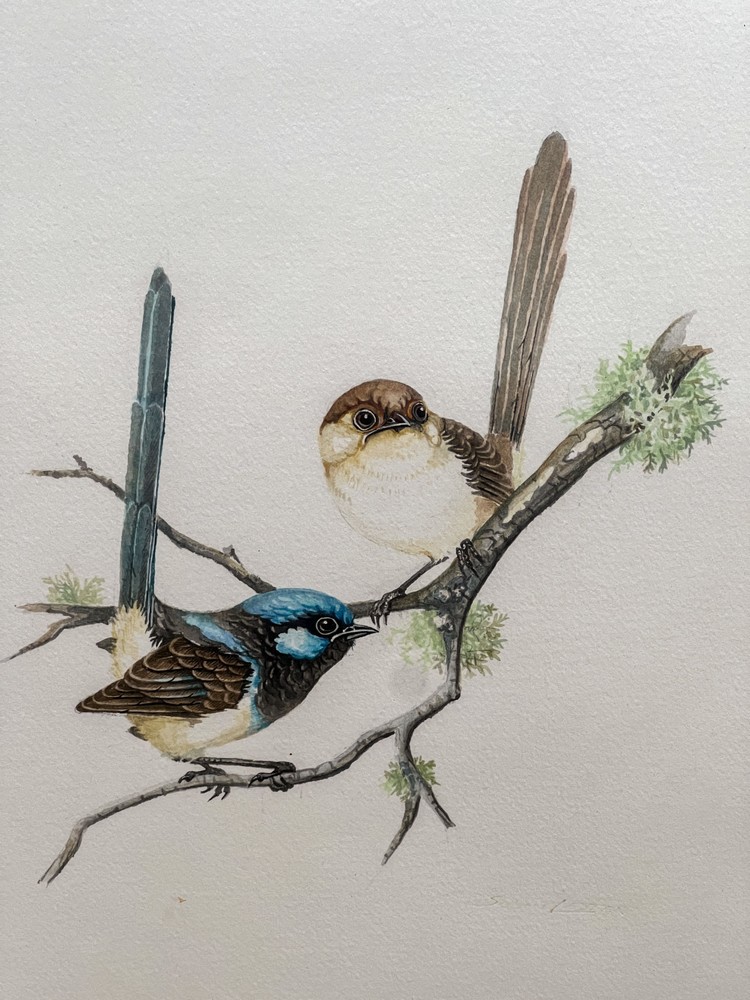 Sue Lester. - Works in Past Sales