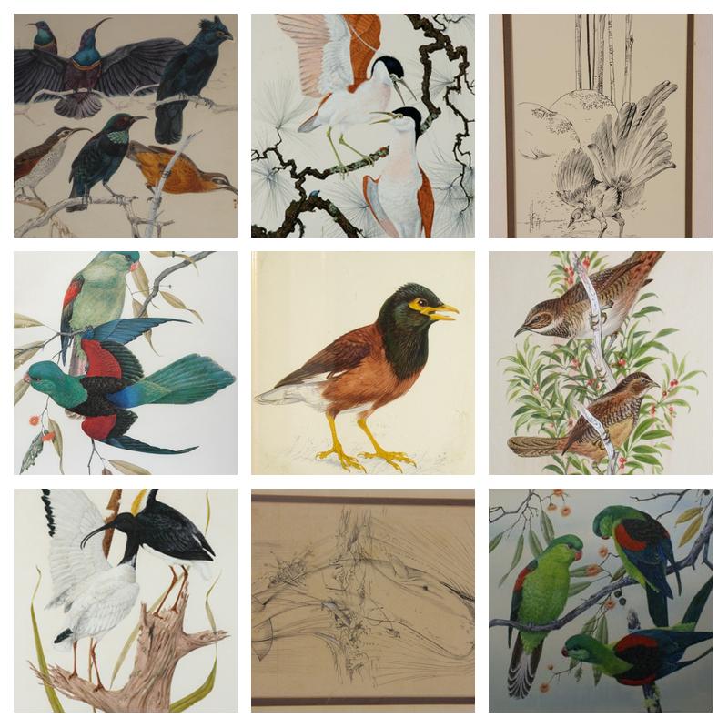 Robin Hill. 1932-. Australia - Prices of Art at Auction