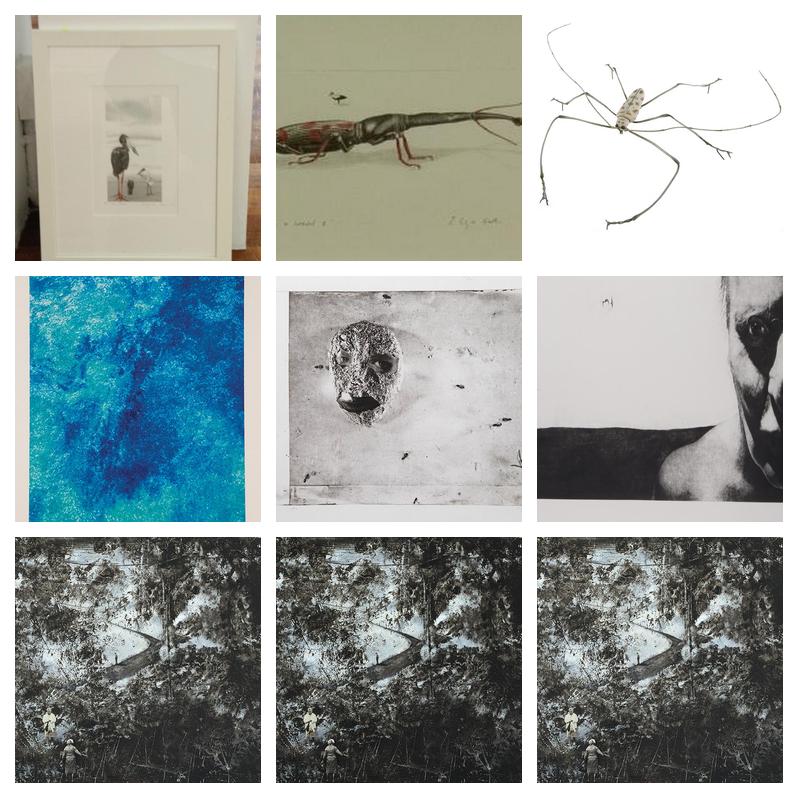 Elizabeth Thompson. 1955-. New Zealand - Prices of Art at Auction