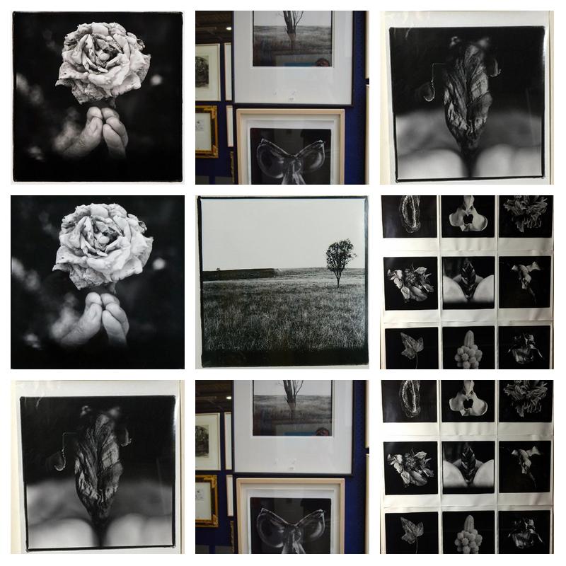 Paul Ferman. 1948-. Germany, Australia - Prices of Art at Auction