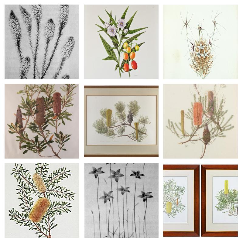 Celia Elizabeth Rosser. 1930-. Australia - Prices of Art at Auction