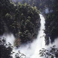 Nathanael Provis. 1976-. New Zealand - Prices of Art at Auction