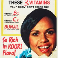 Bindi Cole. 1975-. Australia (Aboriginal) - Prices of Art at Auction